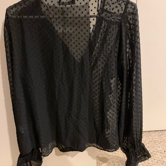 Zara | Tops | Zara Sheer Black Detailed Top | Poshmark